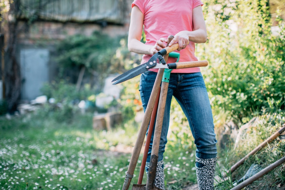6 low-cost garden makeover tips - Trioscape Garden Centre