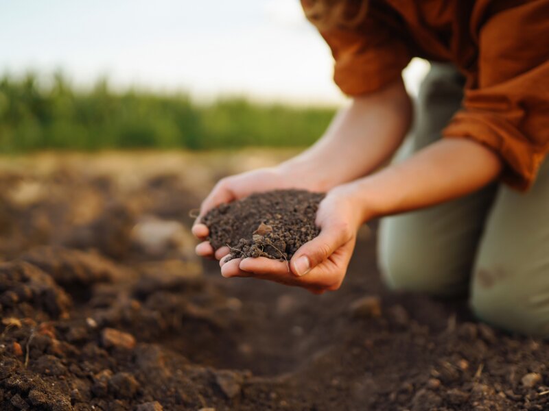 The Use of Compost: How Does It Actually Work? - Trioscape Garden Centre